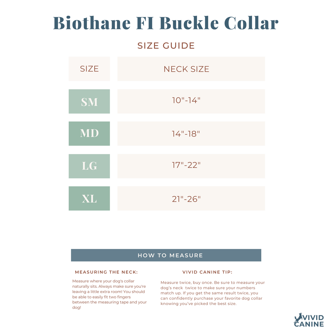 Fi Series 3 Compatible - BioThane® Waterproof Buckle Collar – Vivid Canine