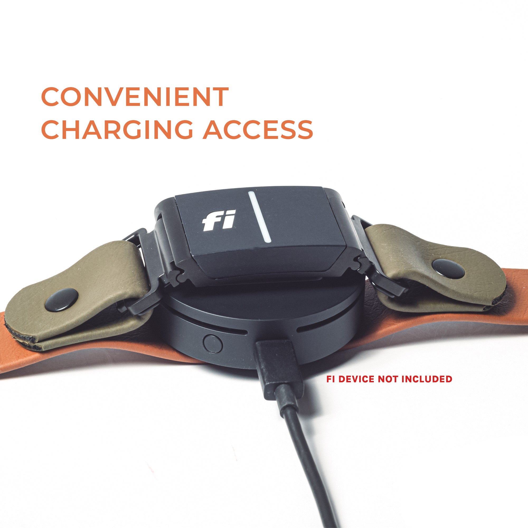 Fi Series 3 Compatible - BioThane® Waterproof Buckle Collar – Vivid Canine
