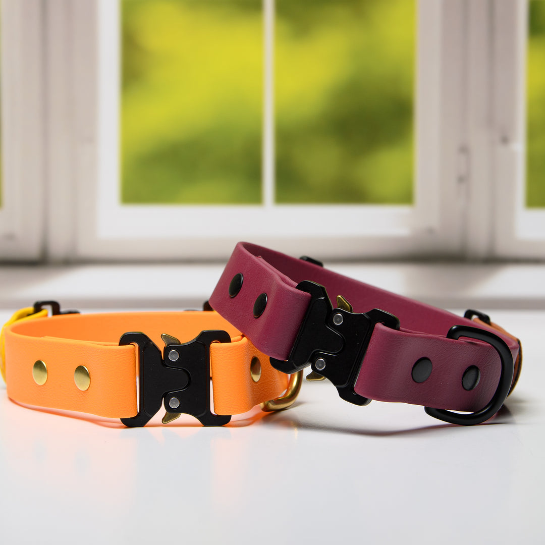 Fi Series 3 Compatible - BioThane® Waterproof Fixed Quick Release Coll ...