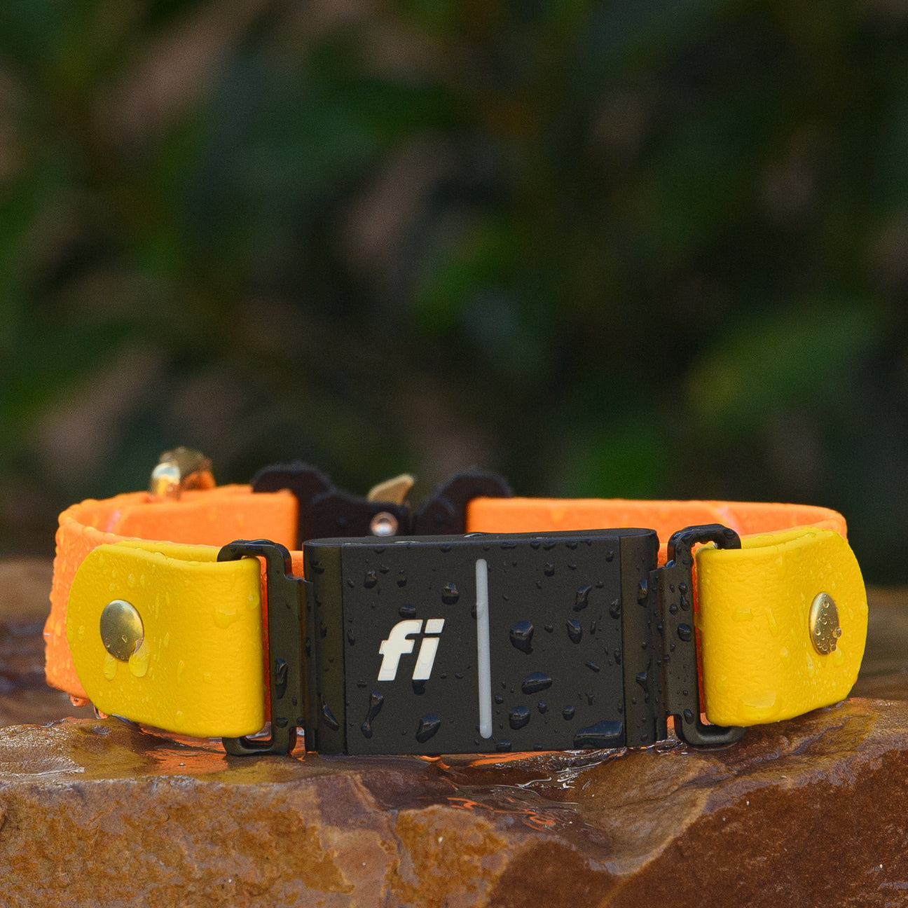 Fi Series 3 Compatible - BioThane® Waterproof Fixed Quick Release Coll ...