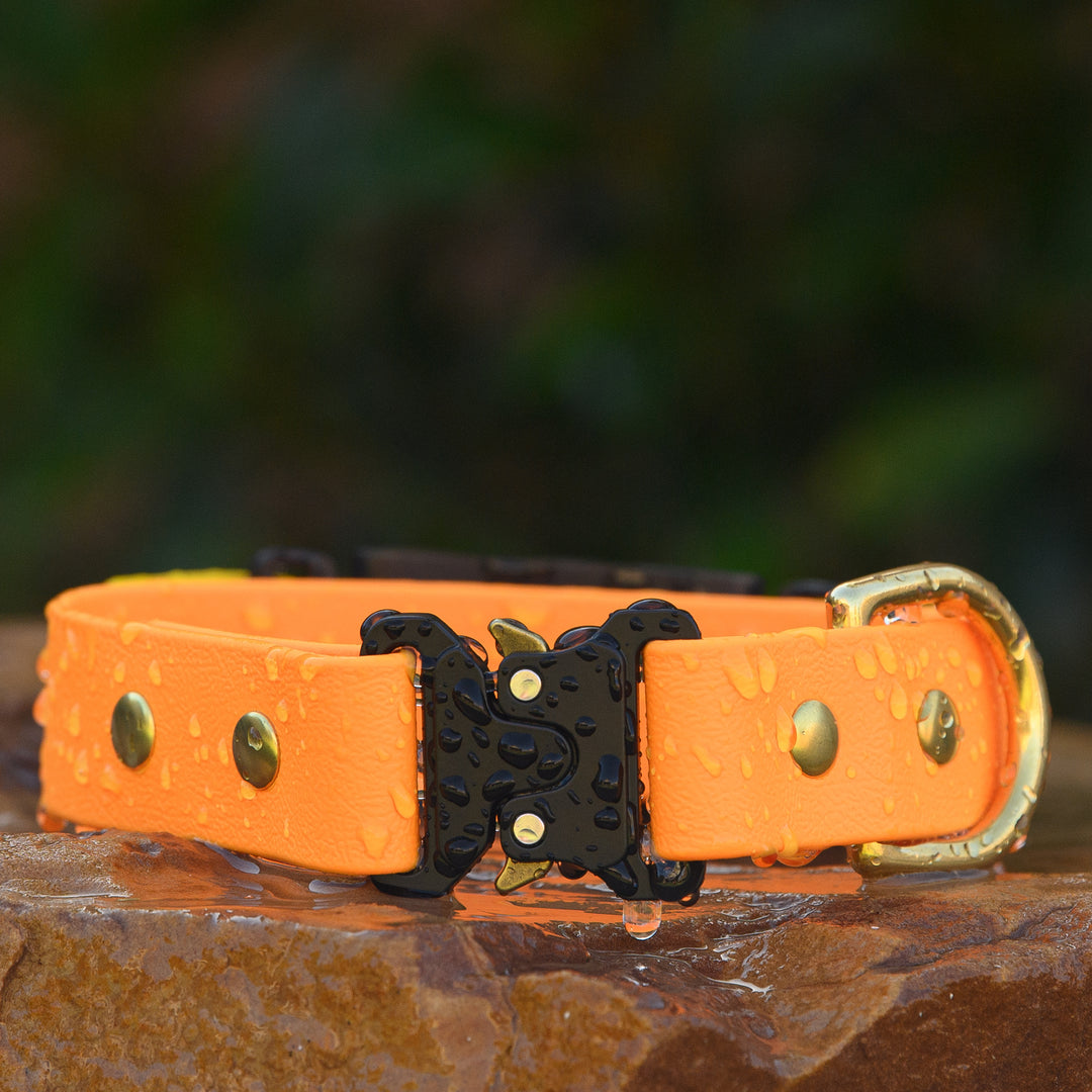 Fi Series 3 Compatible - BioThane® Waterproof Fixed Quick Release Coll ...