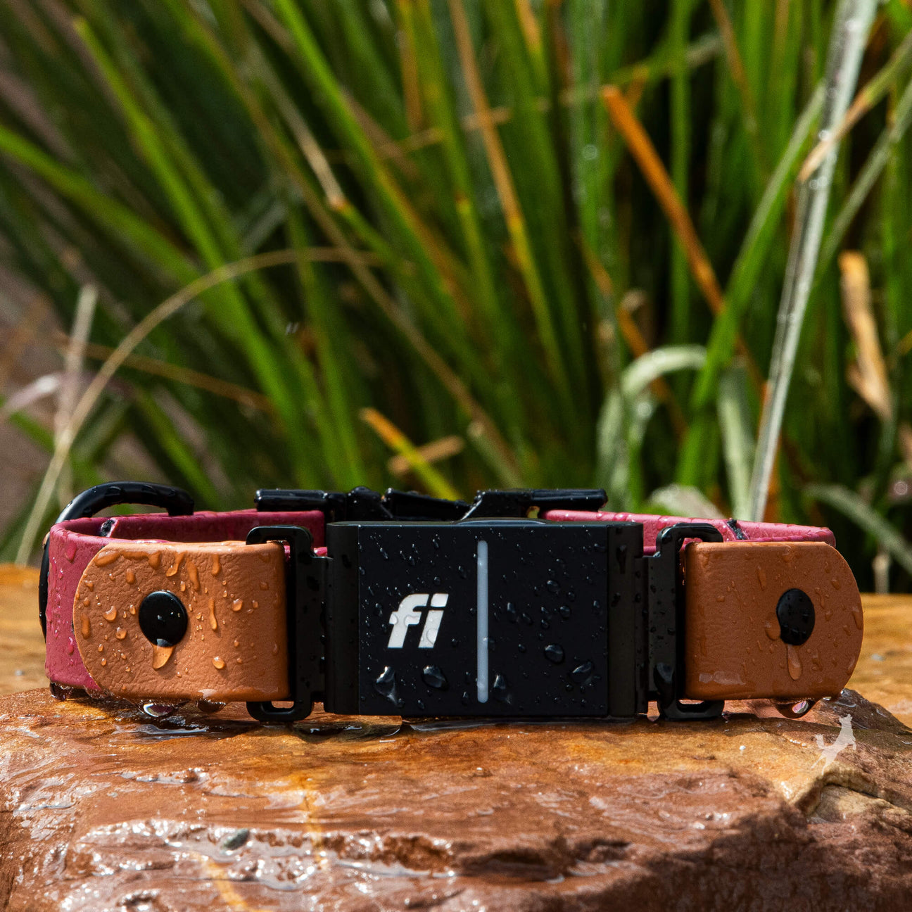 Fi Series 3 Compatible - BioThane® Waterproof Fixed Quick Release Coll ...