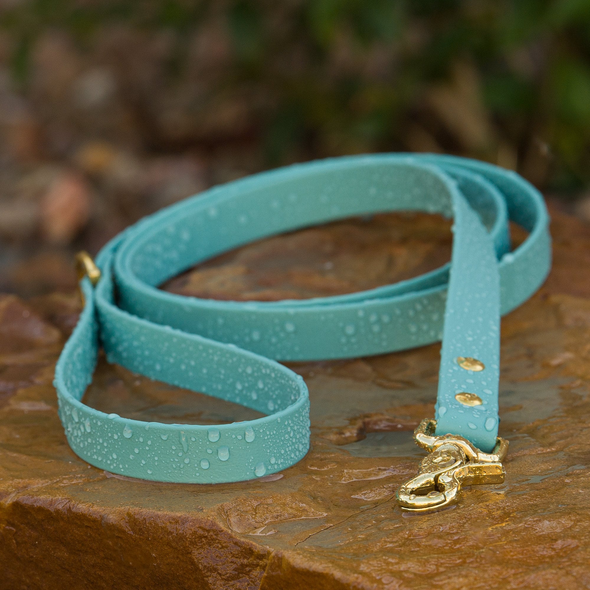 BioThane® Waterproof Dog Leash - Dusty Turquoise – Vivid Canine
