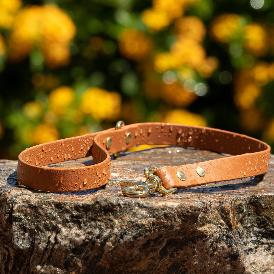 BioThane® Waterproof Traffic Leash – Vivid Canine