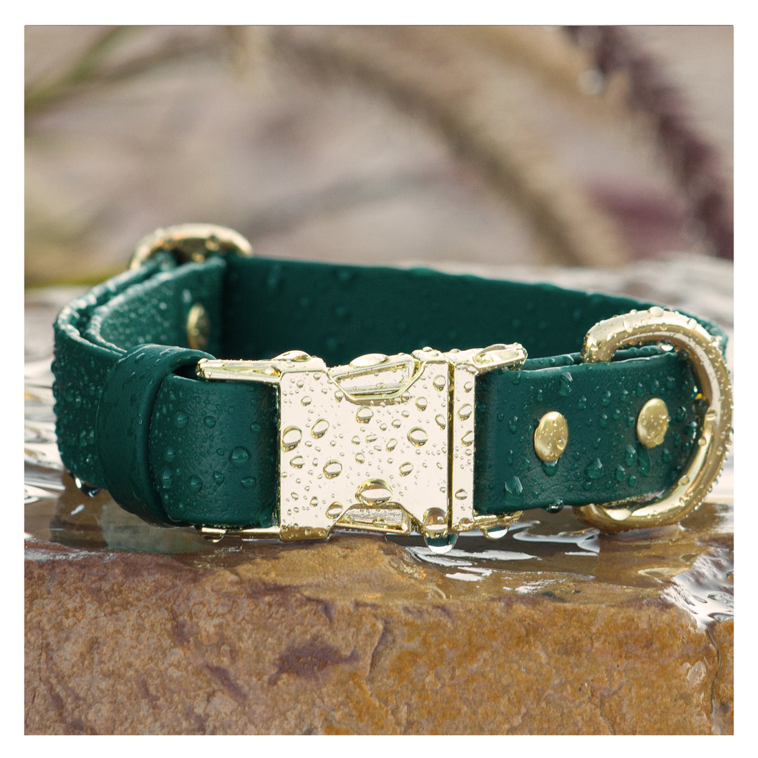 BioThane® Waterproof Quick Release Collar – Vivid Canine